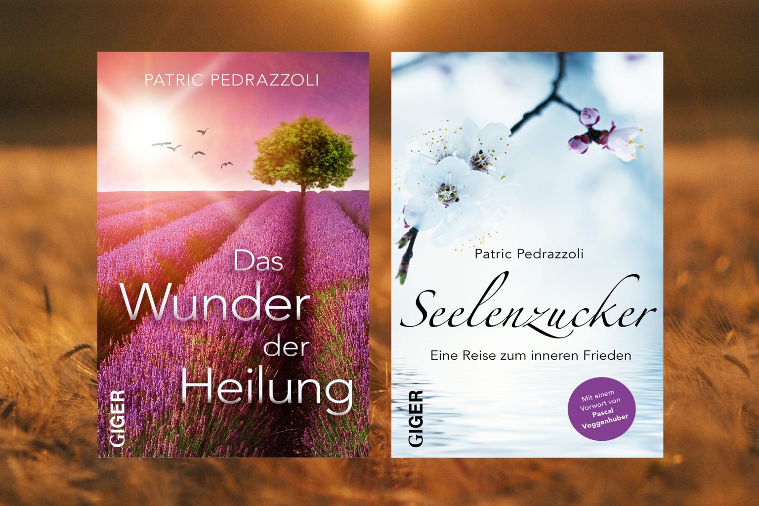 Startseite - Patric Pedrazzoli